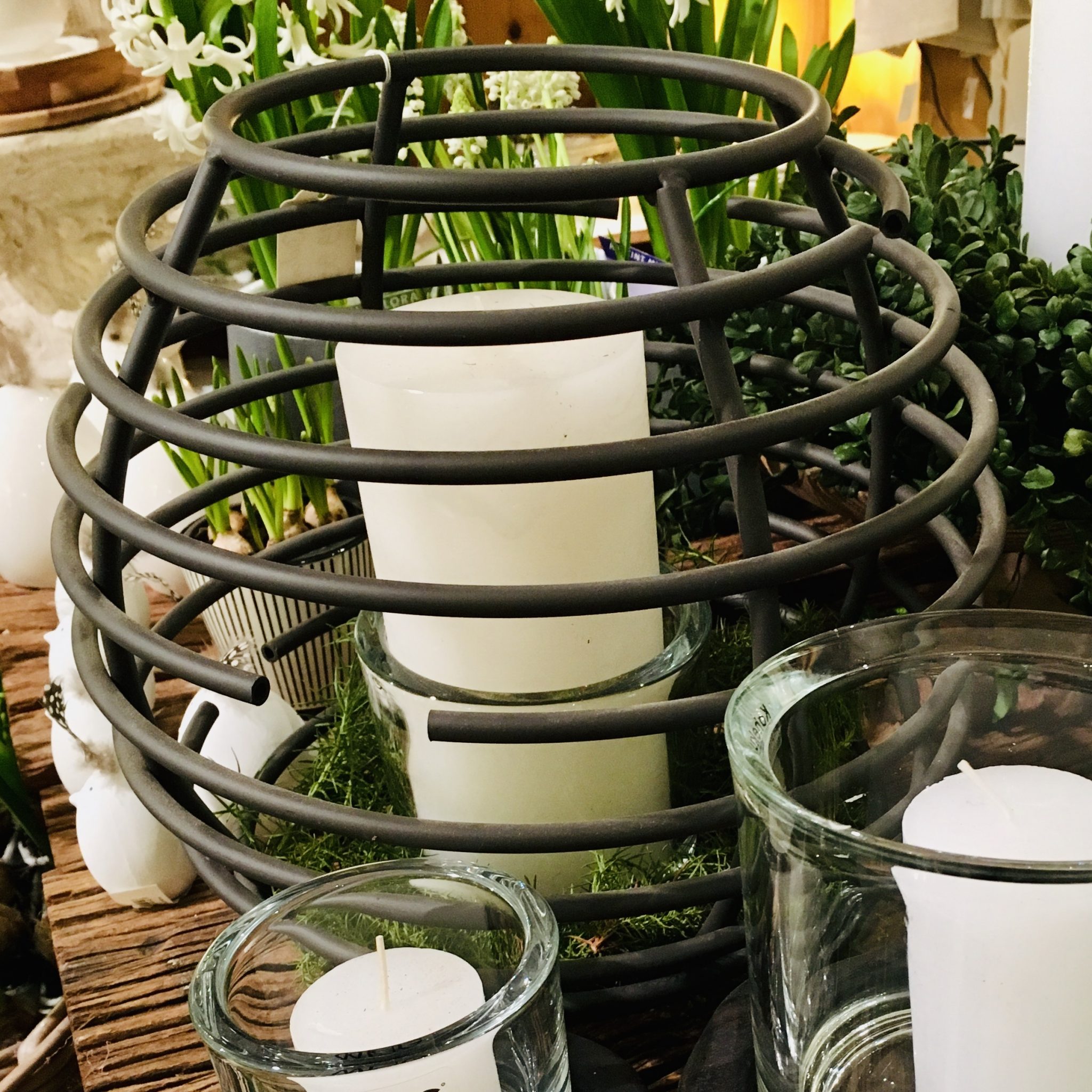 WMG Windlicht, Glas, dickwandig, H 8 D 9 cm – Blumen & Ambiente