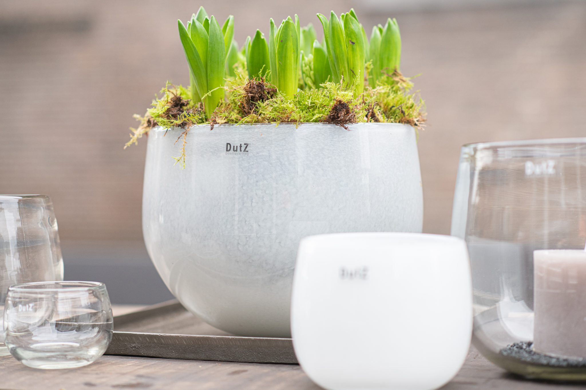 DutZ Pot weiss | Übertopf, Vase, Windlicht | versch. Größen – Blumen ...